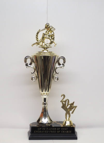 Fantasy Football League Trophy FFL Trophy Champion Championship Cup Wi ...