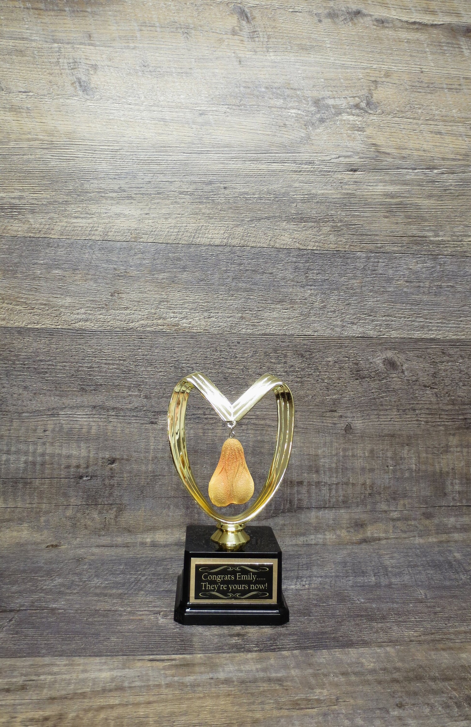 Funny Wedding Gift They're Yours Now Custom Trophy Engagement Gift Aww ...